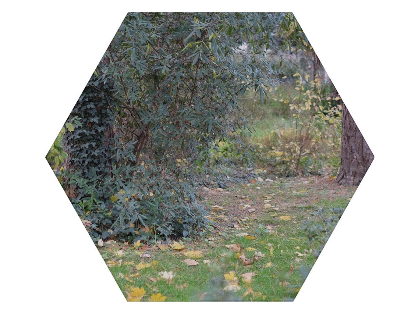 Approches de l’œuvre photographique d’Éric Rondepierre (Partie #2 ...